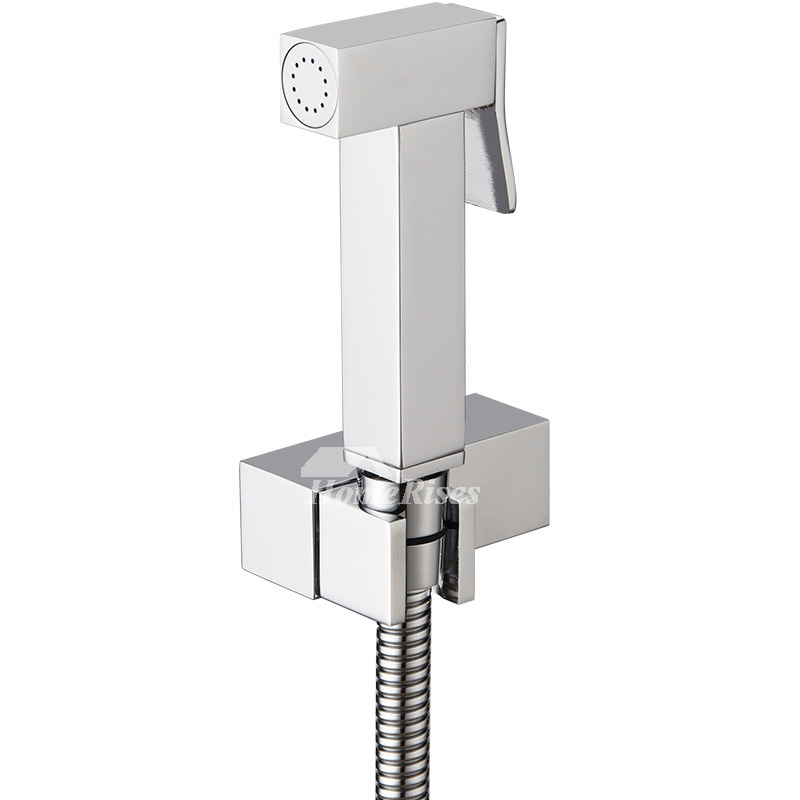Bathroom Bidet Spray Silver Brass ABS Plastic Hand Held Wall Mount