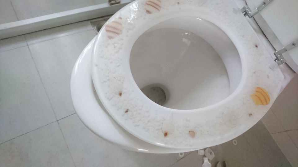 Seashell Toilet Seat Resin O Type Bathroom Blue