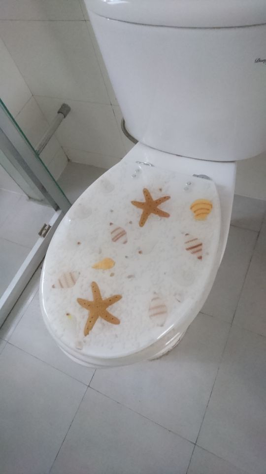 Seashell Toilet Seat Resin O Type Bathroom Blue